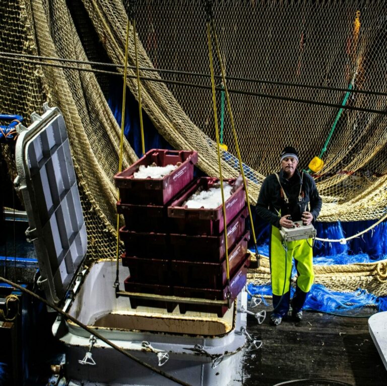 Services - LCX Fresh