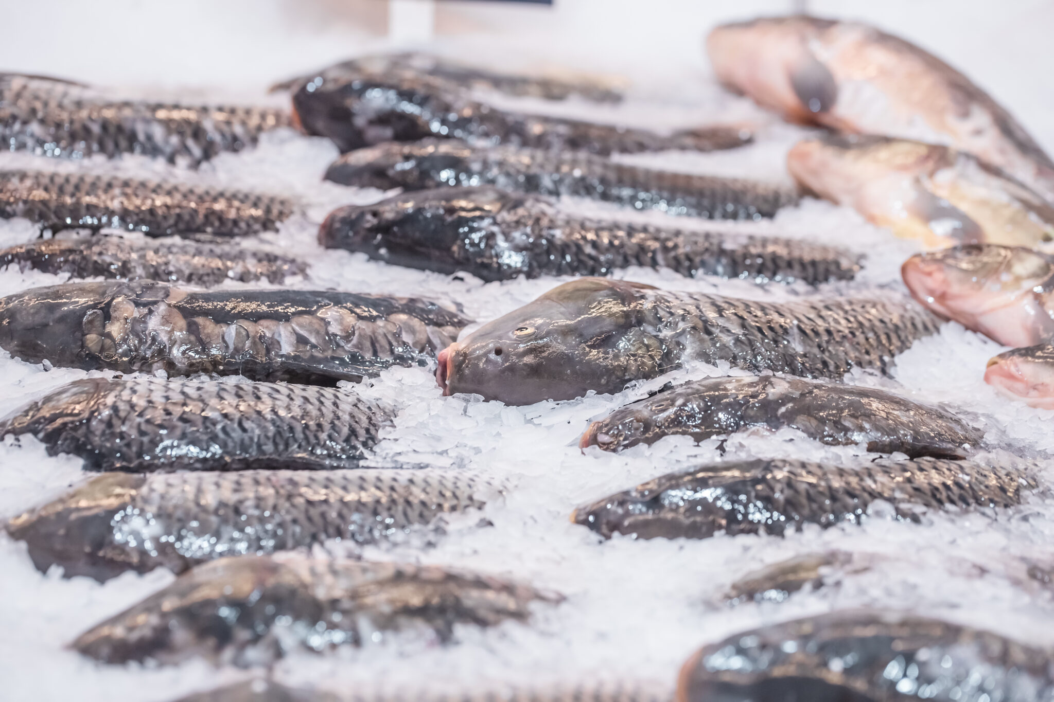 The Future of Perishable Shipping: Key Trends for 2025 - LCX Fresh