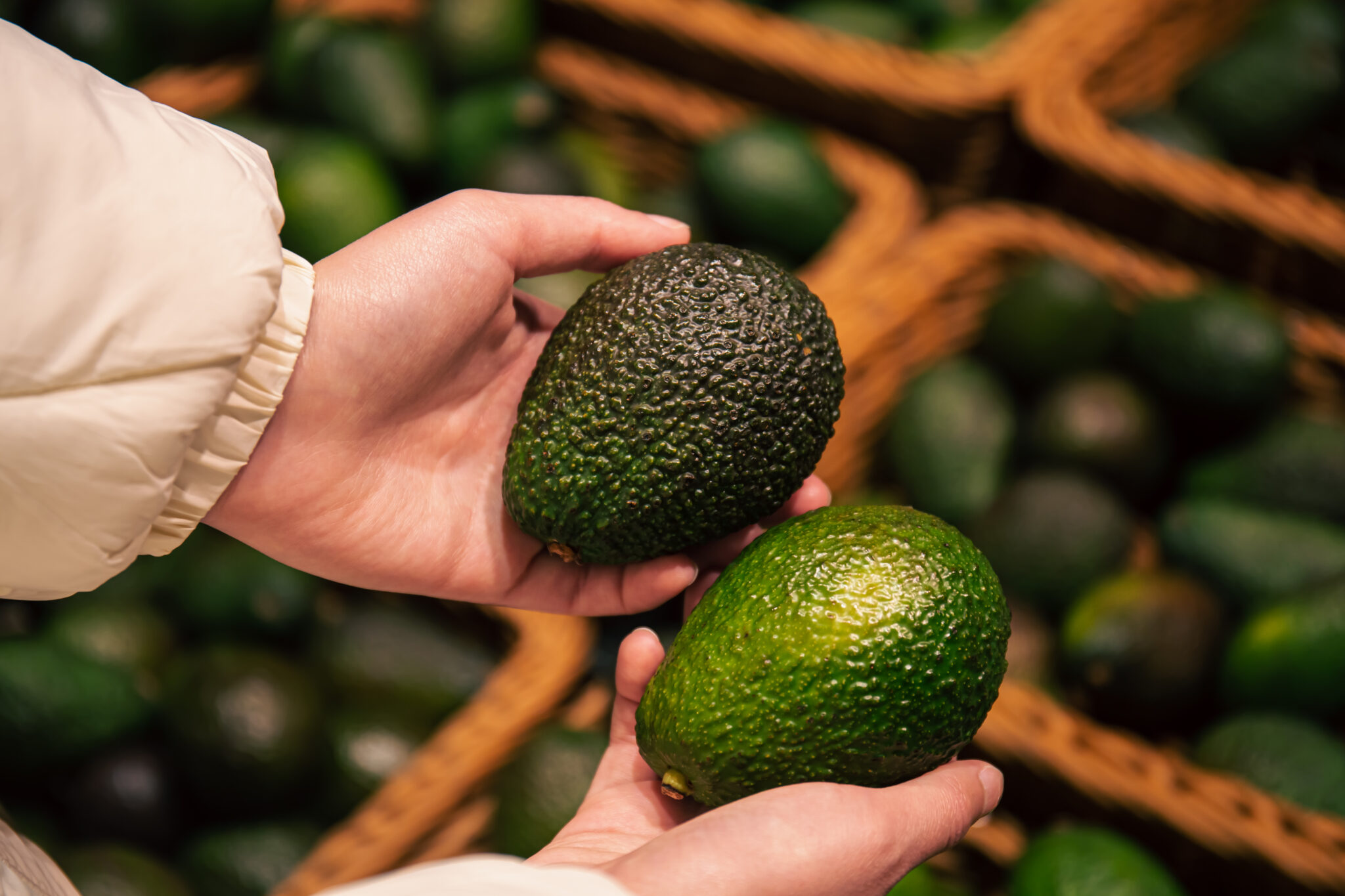 Perishables Logistics: Keeping Fresh Products Fresh